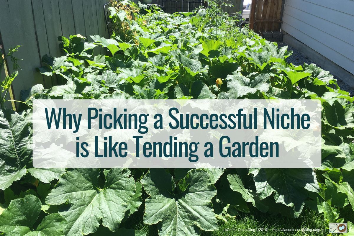Why Picking a Successful Niche is Like Tending a Garden [Video ...